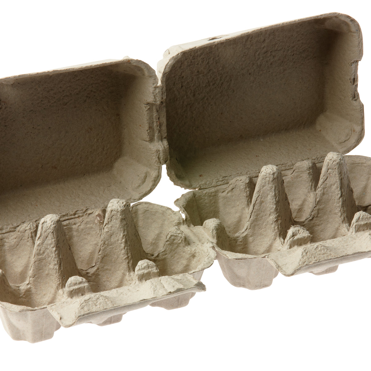 Egg Cartons 6 Wells Pack of 24