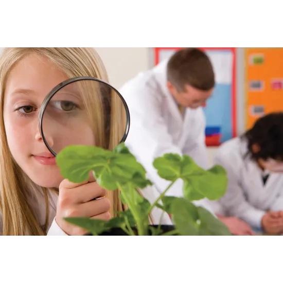 Hand Magnifiers - Pack of 12 | Educational Vantage