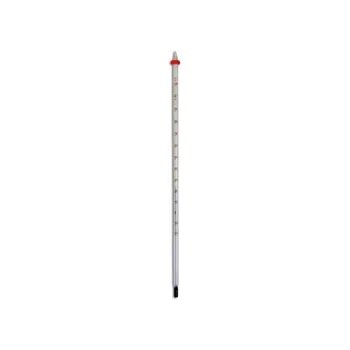 Environmentally Friendly Thermometer | Educational Vantage