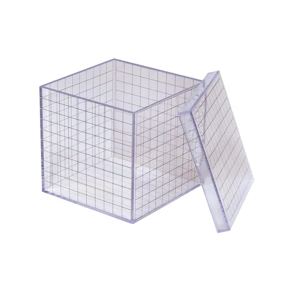 1 Litre Grid Cube
