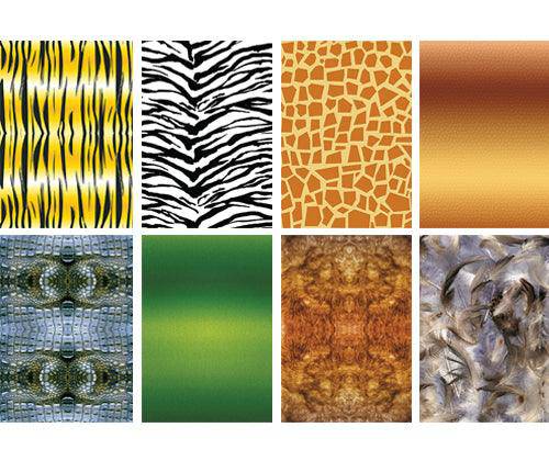 Pattern Paper A4 Animal Pack of 40 | Educational Vantage